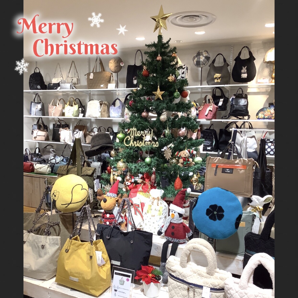 TRIDEEPなど👜人気商品も再入荷 ｜LUTECE｜ショップニュース | せいせき：京王聖蹟桜ヶ丘ショッピングセンター